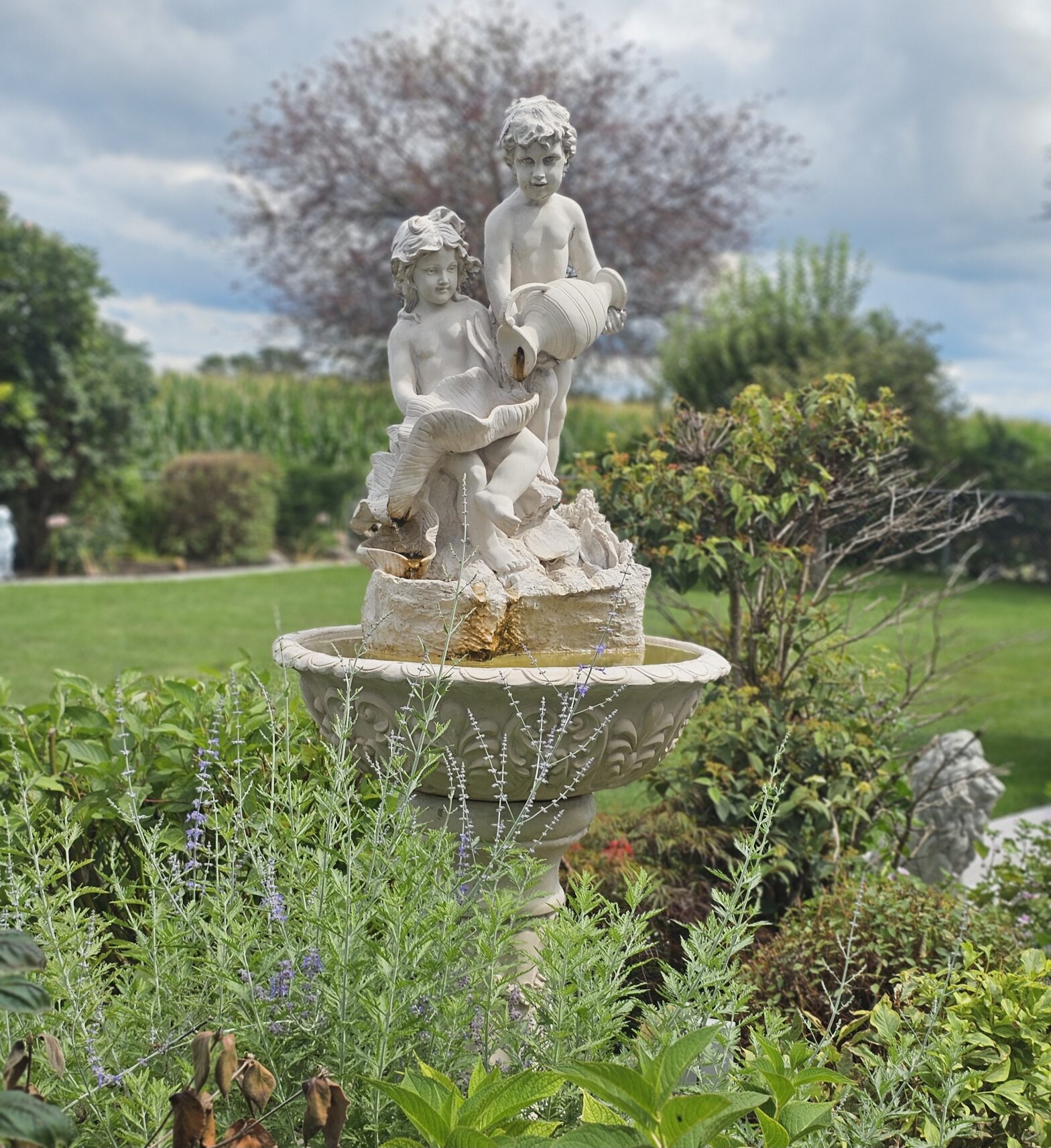 Homeowners surprised by receiving August's 'Yard of the Month ...