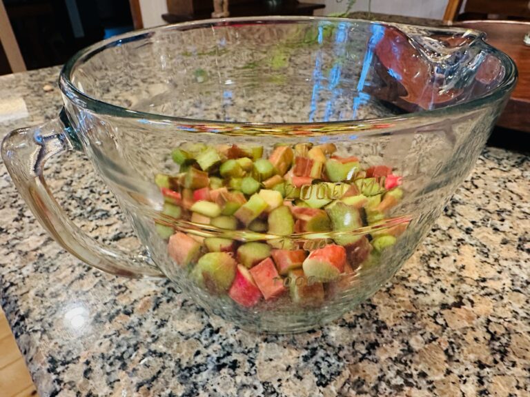 In the kitchen with Kim: Rhubarb Crunch | Kewanee Voice