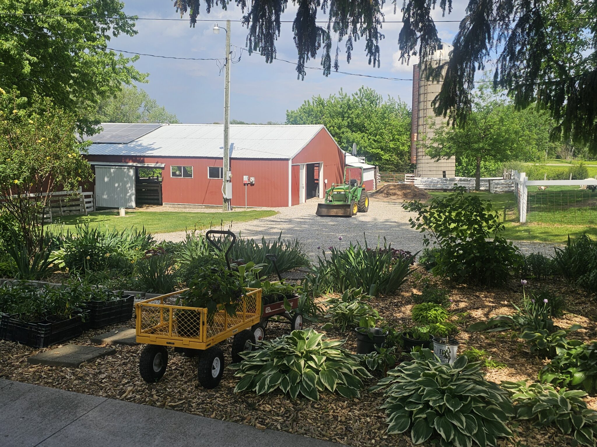 Down on the farm with Mary and Mark | Kewanee Voice